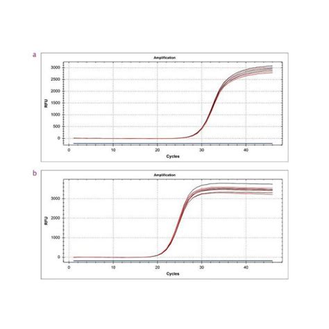 Qpcrbio Cdna Synthesis Kit Biologika