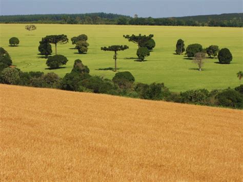 Qual A Diferença Entre Módulo Rural E Módulo Fiscal Inteliagro