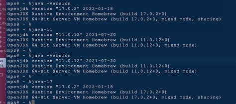 Installing And Switching Between Multiple Jdk On Macos By Manvendra P