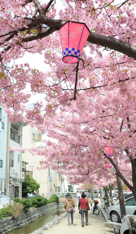 桑名市観光サイト 伊勢国の玄関口