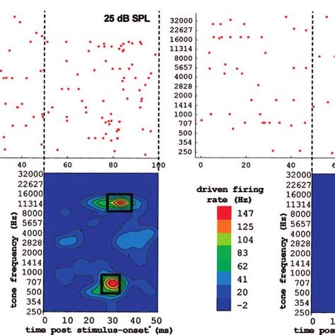 Cortical Single Unit Response To Tone Stimuli Spanning The Receptive