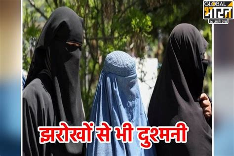 तालिबान सरकार का एक और अजीबोगरीब फरमान इस बार खिड़कियों पर लगाया बैन