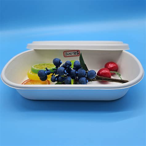 800ml Container 1 Compartment Your Ideal Choice For Storage