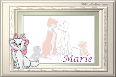 Kätzchen Marie Gb Pics Gb Bilder Gästebuchbilder Facebook Bilder