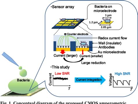Figure 3 From Noise Immune Current Integration Based Cmos Amperometric Sensor Platform With 1 2