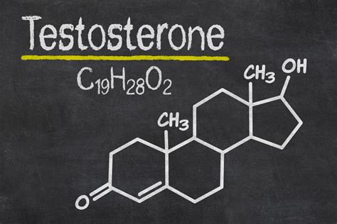 How To Naturally Increase Testosterone Levels Weight Training Guide
