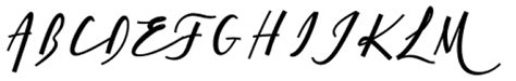 Cursive Signa Script Bold Italic Font What Font Is