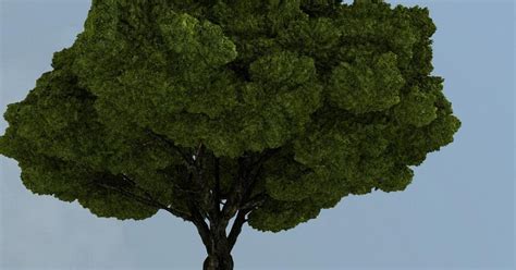 Procedural World A Voxel Tree
