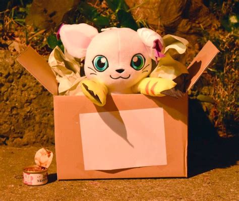 Tailmon Digimon Real Life Photo Medium Blue Eyes Box Can Cat