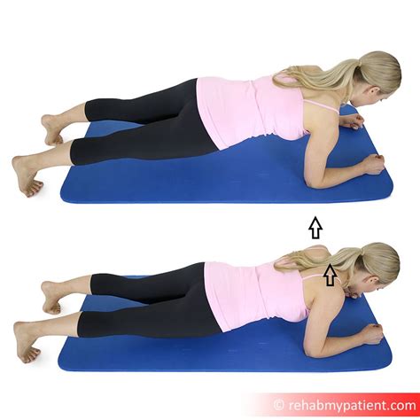 Serratus Anterior Muscle Exercises