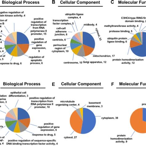 Gene Ontology Go Enrichment Analysis A C The Biological Process