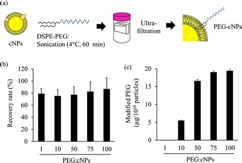 Modification Of Cnps With Dspe Peg A Schematic Illustration Of The