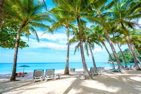 Surin Beach With Palm Trees And Beach Chairs On A Sunny Day In Phuket