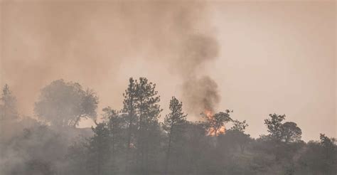 Wildfire Smoke Chokes Us Northwest Residents Don Masks Dubai Eye 103