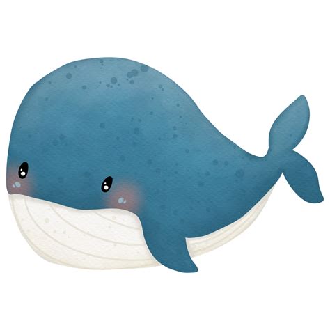 Imágenes Prediseñadas De Acuarela De Ballena 44031756 Png