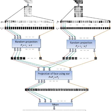 Steps Of Cancelable Fusion For Face And Ear Biometric Based Download Scientific Diagram