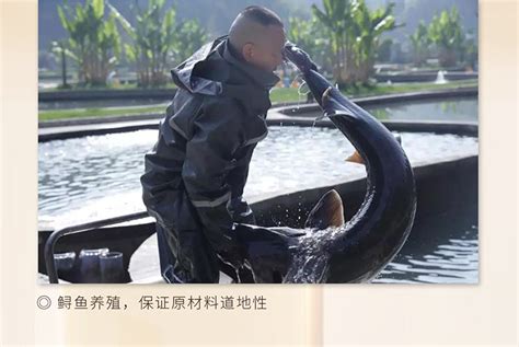 鲟鱼蛋白肽 湖北嫦娥生物股份有限公司