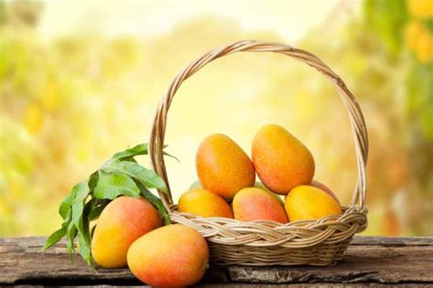 செயற்கையாக பழுக்க வைத்த மாம்பழங்களை எளிதில் கண்டறிவது எப்படி Simple