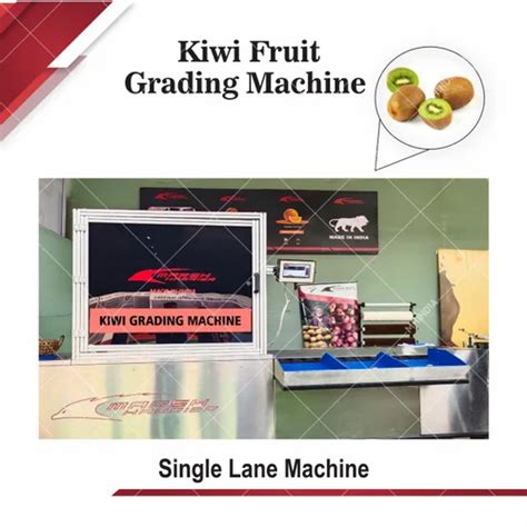 Automatic Ss 1 Lane Kiwi Fruit Grading Machine 15 Mt Per Hour At