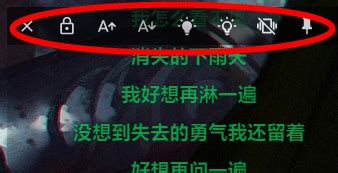 洛雪音乐助手怎么显示桌面歌词 当易网