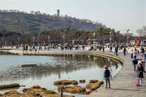 월드컵공원 서울연구데이터서비스