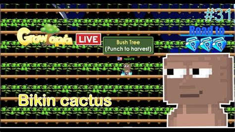 Membuat Cactus 2 Rto Bgl Live Growtopia Youtube
