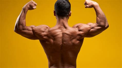 Shoulder Workouts For Mass