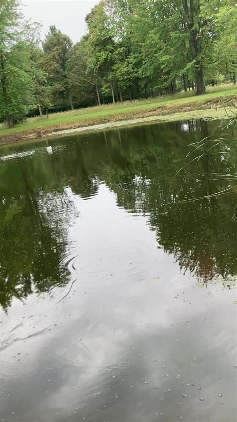 Fly Fishing Sunfish