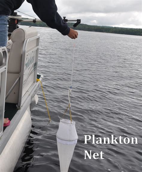 Water Quality Sampling — Lspa