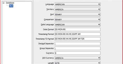 java mon amour sqldeveloper export date with time