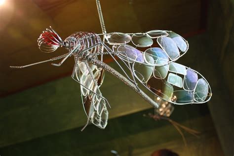 1000 Images About Eyeglass Lenses On Pinterest Library Art Glasses