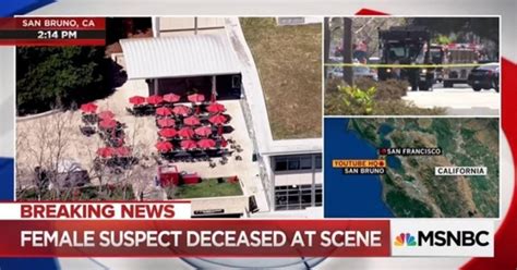 美 유튜브 본사서 총격 사고 최소 3명 부상·용의자 사망