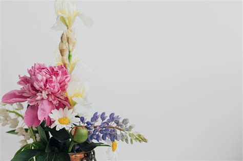 현대 여름 꽃은 텍스트를위한 공간이있는 흰색 벽 배경에 여전히 생활 배열 창조적 인 꽃 인사말 카드 세련된 모란 루핀 홍채 및