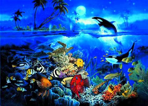 Underwater Laptop Wallpapers Top Free Underwater Laptop Backgrounds