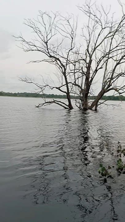 අප රටේ ඇති මෙවැනි වැව් රැක ගැනීම ශ්‍රී ලංකිකයින් වශයෙන් අපි සියලු දෙනාගේම යුතුකමකි 💚sri Lanka