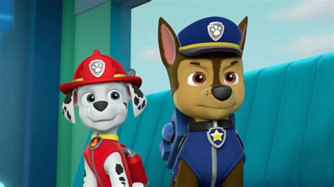 Pups Save A Stowawayquotes Paw Patrol Wiki Fandom Powered By Wikia