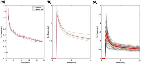 A The Bi Exponential Model Fit For One Of The Sampled Aif B The