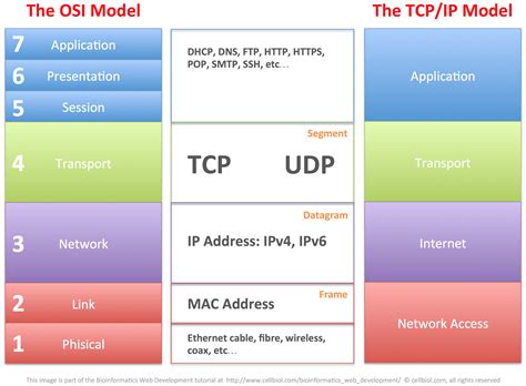 Tcp Packet Structure