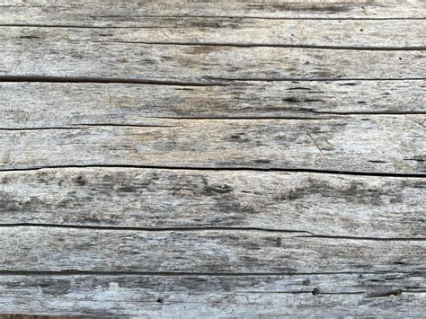 Texture Of Tree Stump Nature Wood For Background 20962291 Stock Photo At Vecteezy