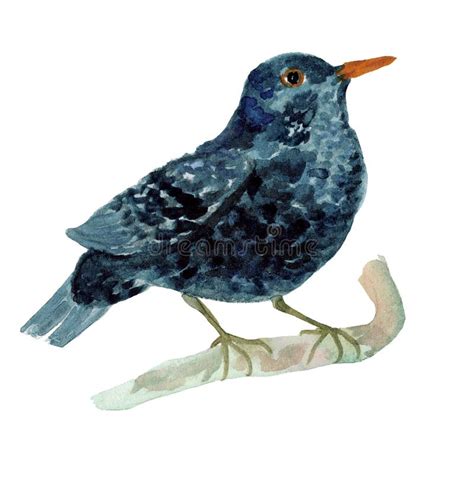 Watercolor Handdrawn Black Bird Rook Isolated Stock Illustration