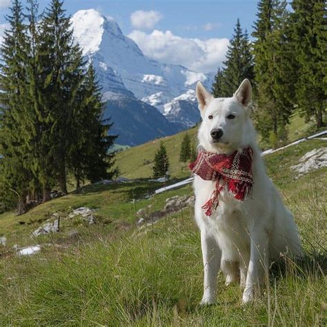 Lucian Lu On Linkedin Llm News And Articles Tuesday 2024 09 24