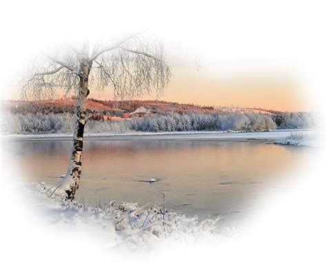 Пейзаж на прозрачном фоне Kolybanov — Livejournal