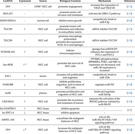 Roles Of Exosomal Lncrnas In Hcc Download Scientific Diagram