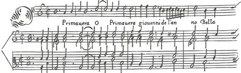 More Than Meets The Eye Basso Continuo Notation In The 17th Century More Than Meets The Eye Basso Continuo Notation In The 17th Century