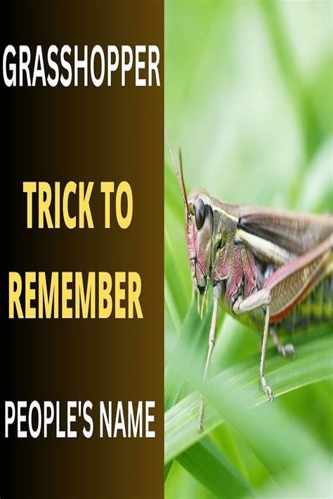 Mastering Memory The Grasshopper Trick To Remember Peoples Names People Names Names Memories