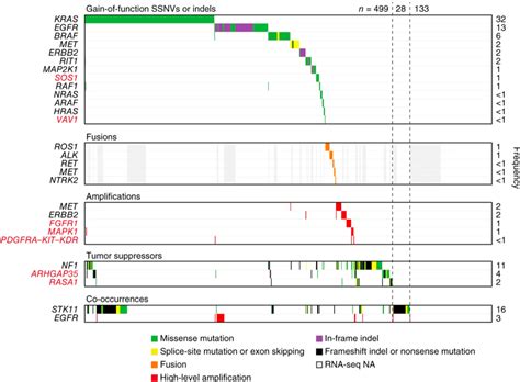 Distinct Patterns Of Somatic Genome Alterations In Lung Adenocarcinomas