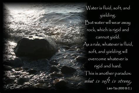 Django React Redux Bingo 3 Of 5 Build A Full Stack Web By Ryan Dines Medium