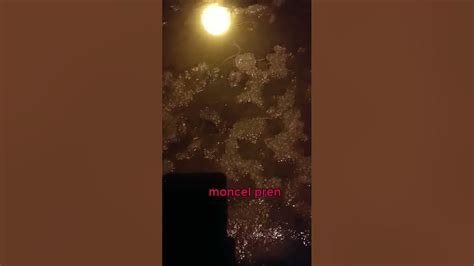 Moncel Belute Ucol Youtube