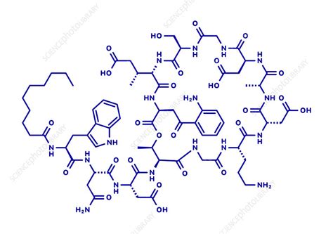 Daptomycin Antibiotic Drug Molecular Model Stock Image F025 1947