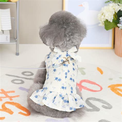 泰迪犬图片衣服卡通大山谷图库